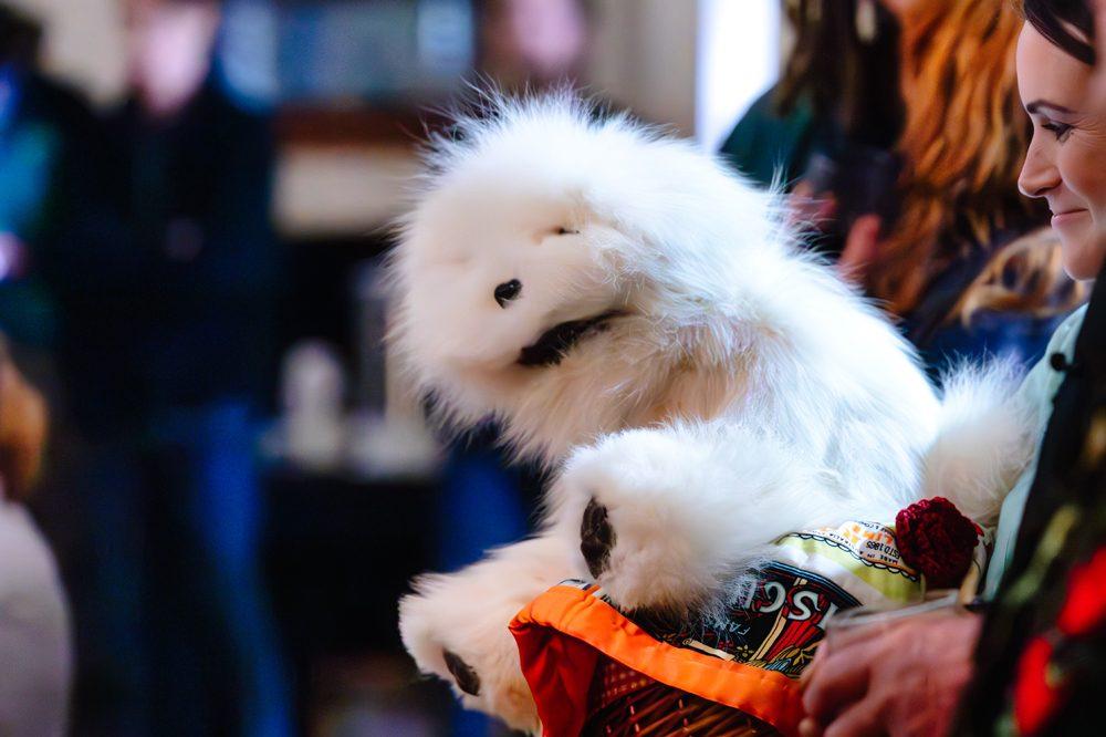 Meet Fluffy, the puppet designed to spark conversation and connection ...